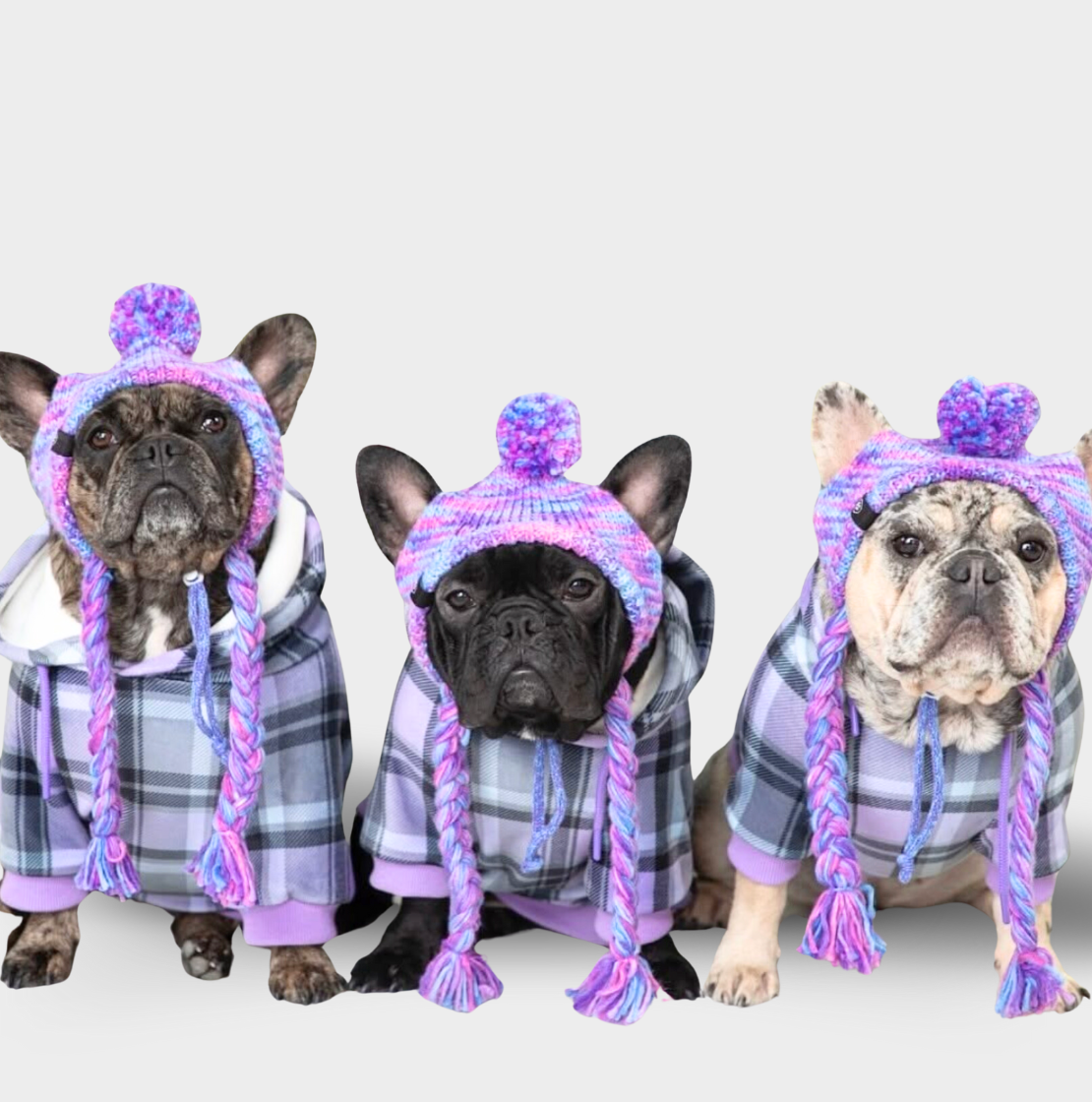 Purple Plaid Dog Hoodie – SPARK PAWS