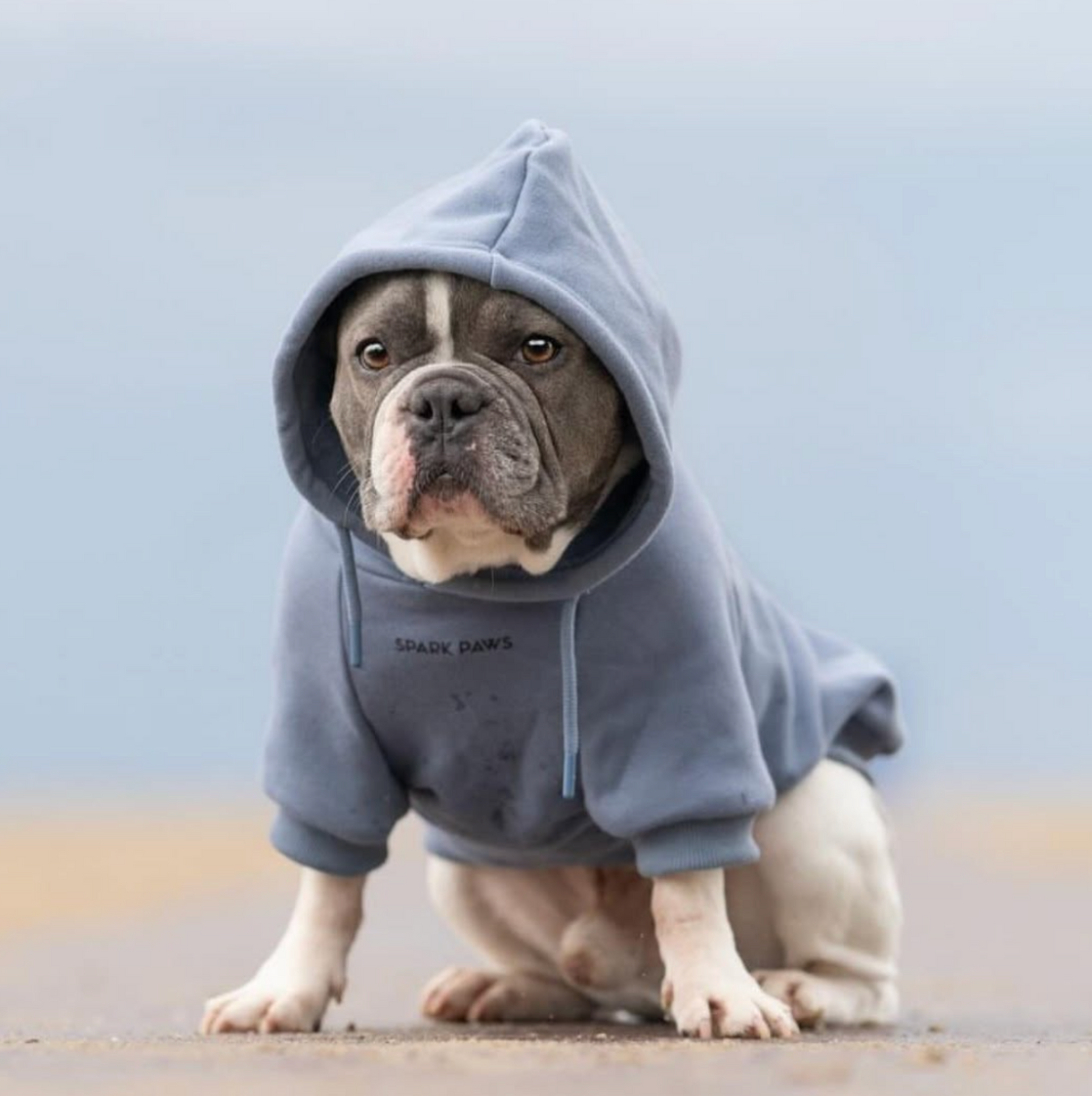 Essential Dog Hoodie - Slate Blue – SPARK PAWS