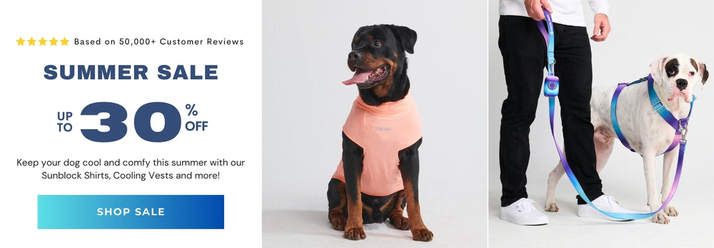 Spark Paws - Premium Dog Clothing, Walk Gear, Shoes and More! – SPARK PAWS