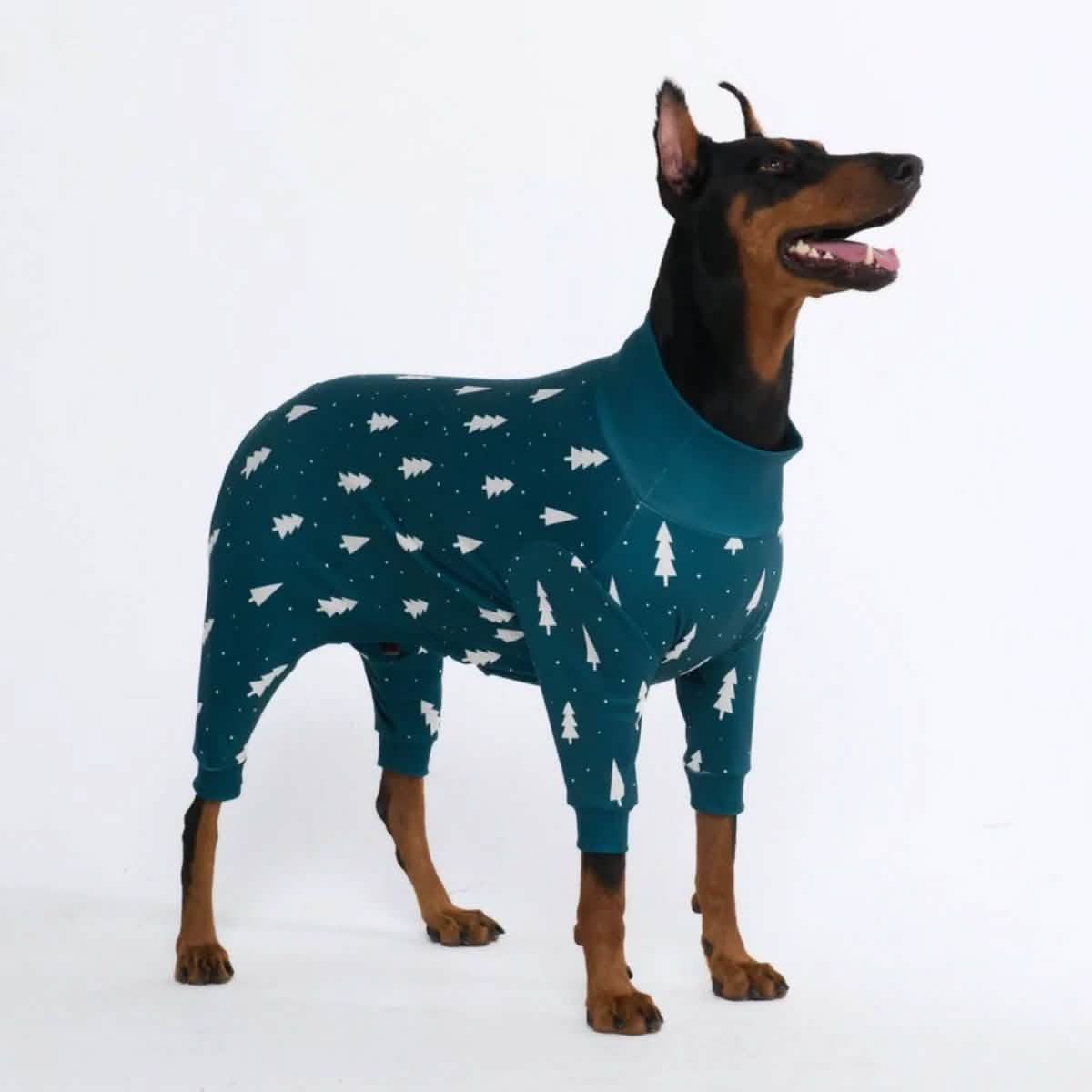 Christmas Matching Dog and Owner Pajamas – SPARK PAWS