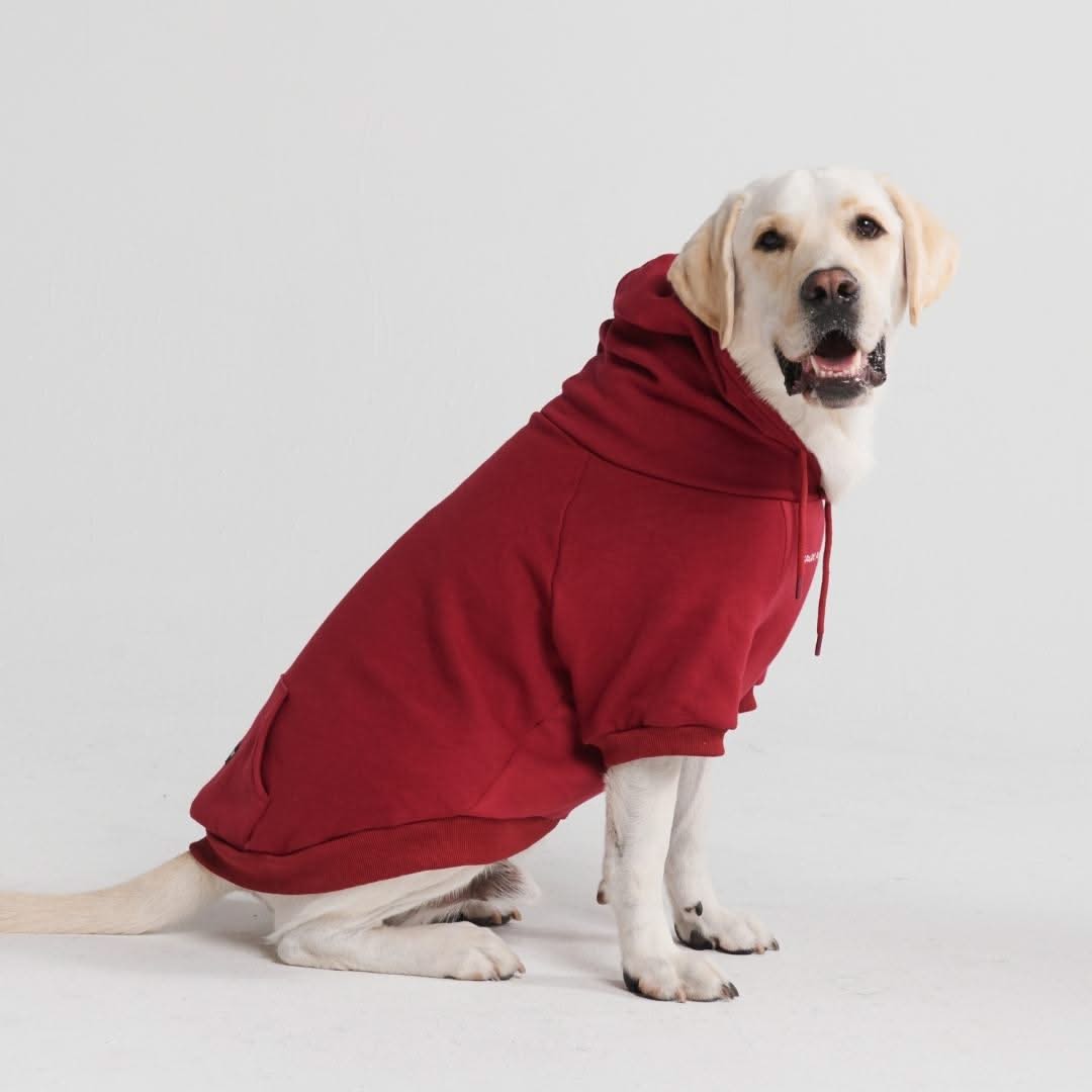 Essential Dog Hoodie - Burgundy – SPARK PAWS