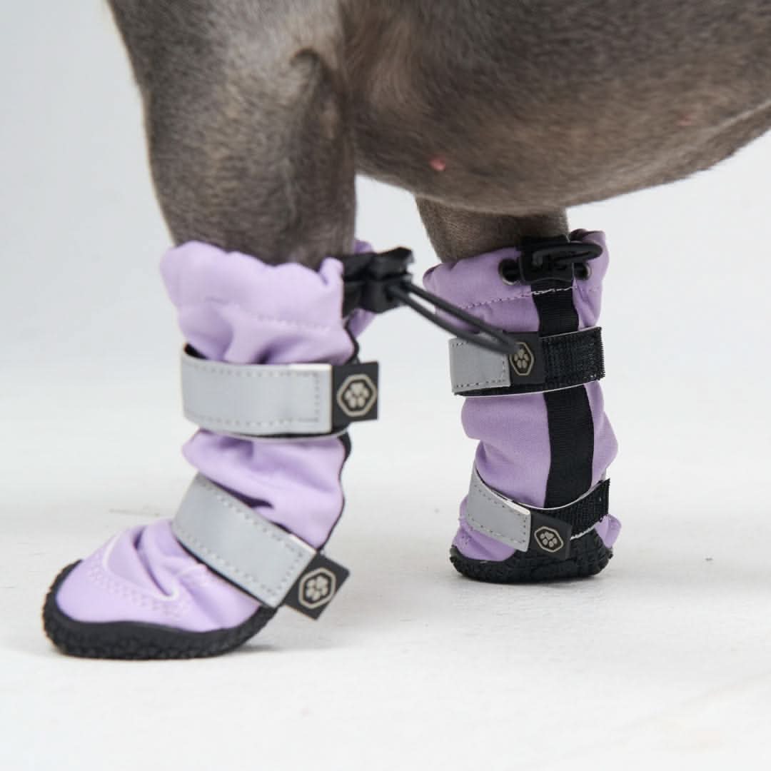 Flex Shell Water-resistant Dog Boots – SPARK PAWS