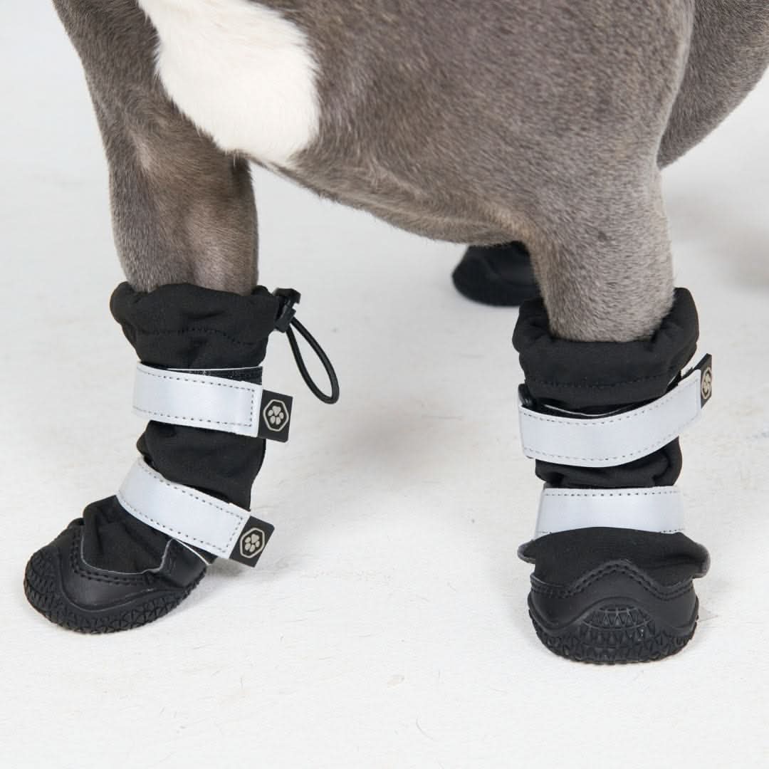 Flex Shell Water-resistant Dog Boots – SPARK PAWS