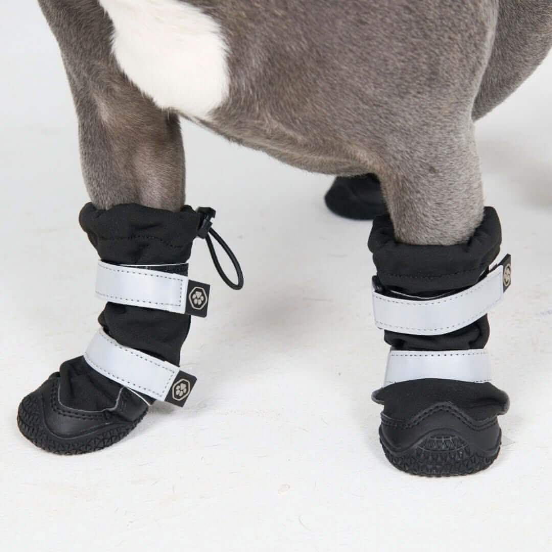 Flex Shell Water-resistant Dog Boots – SPARK PAWS
