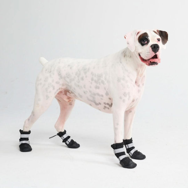 Dog Shoes & Boots – SPARK PAWS