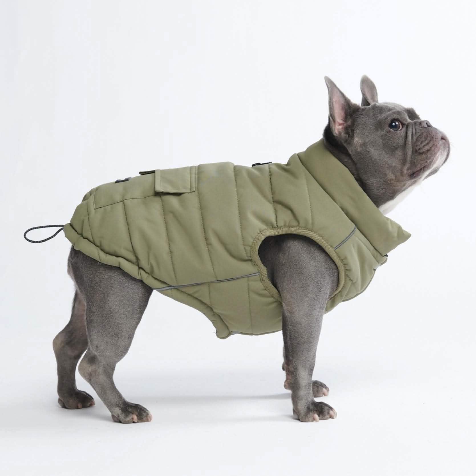 WarmShield Water-Resistant Jacket - Olive – SPARK PAWS