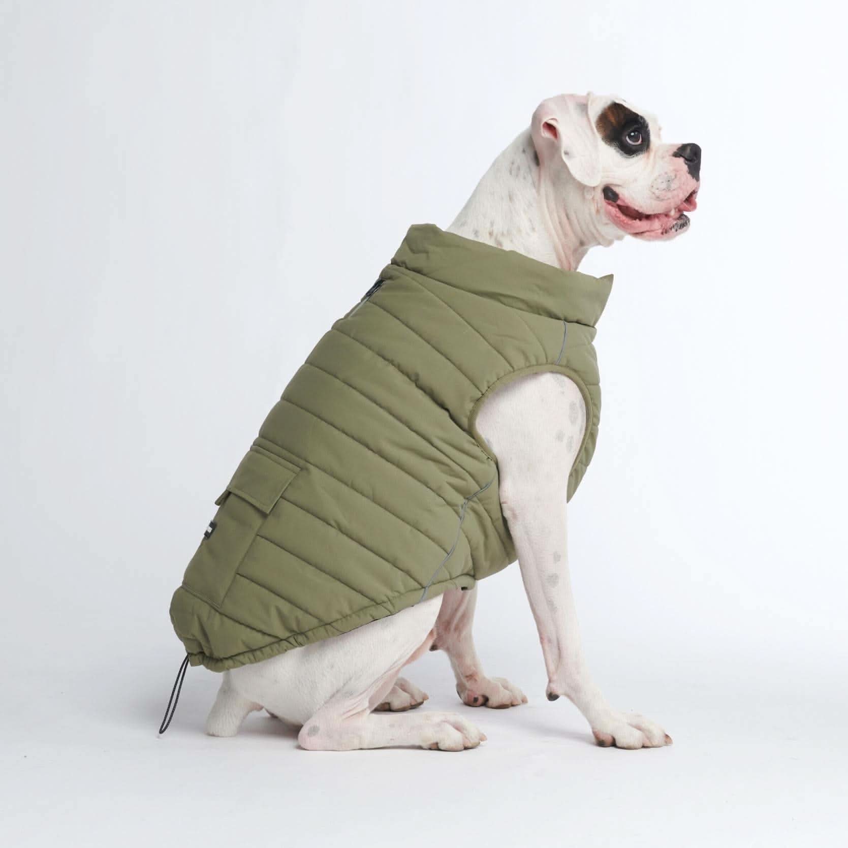 Water Resistant Winter Dog Jacket Vest – SPARK PAWS