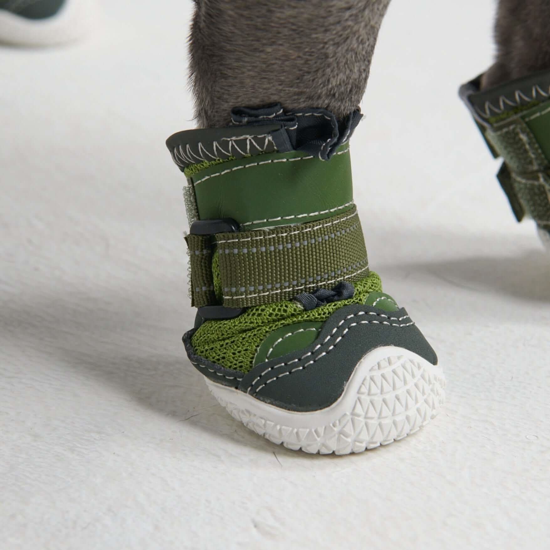 Hot Pavement Pawtector Dog Shoes – SPARK PAWS