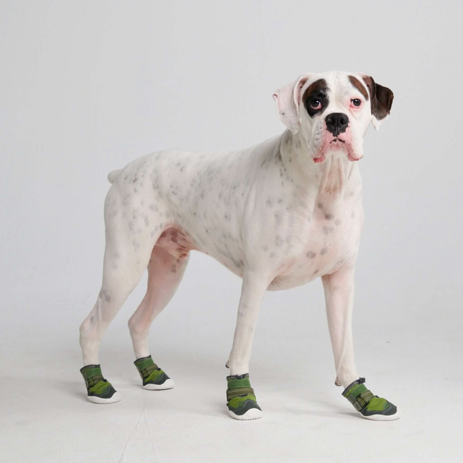 Hot Pavement Pawtector Dog Shoes – SPARK PAWS