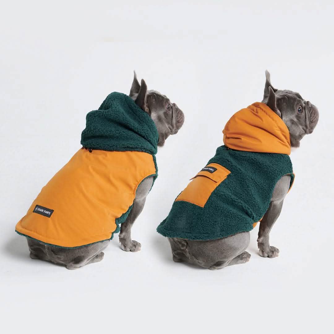 Reversible Dog Jacket - Green and Orange – SPARK PAWS