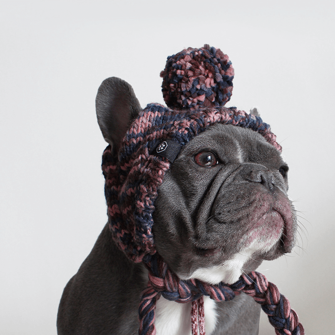 Knit Pom Pom Dog Beanie Hats – SPARK PAWS