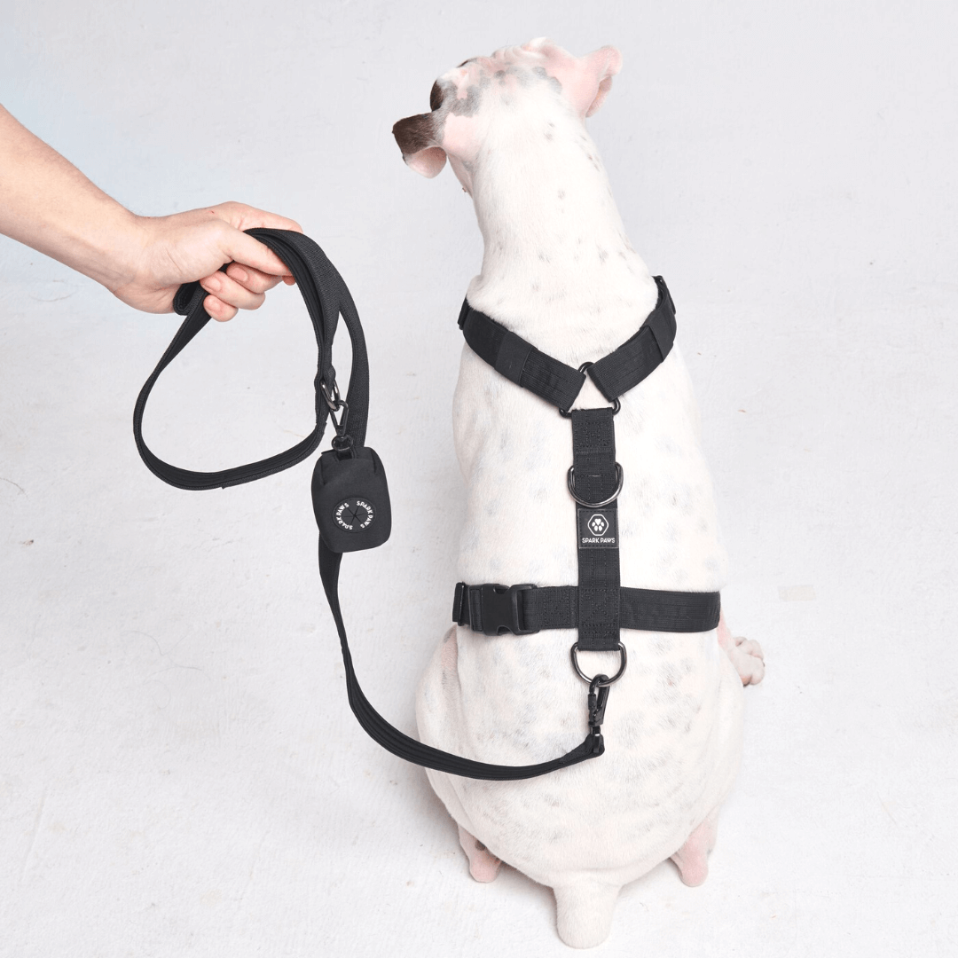 Comfort Control No-Pull Dog Harness Set - Black – SPARK PAWS