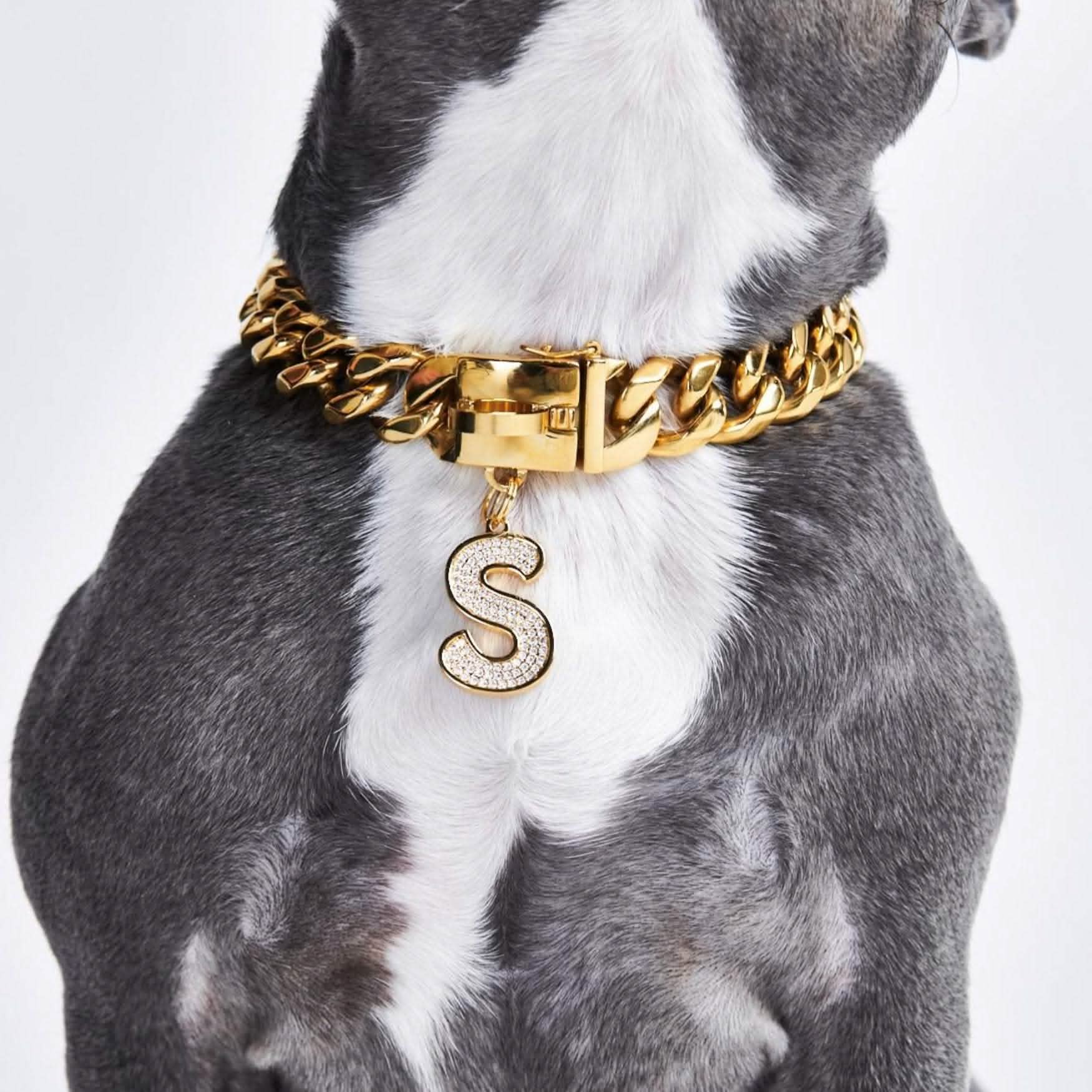 Gold Initial Letter Jewelry Tag for Dogs - S – SPARK PAWS