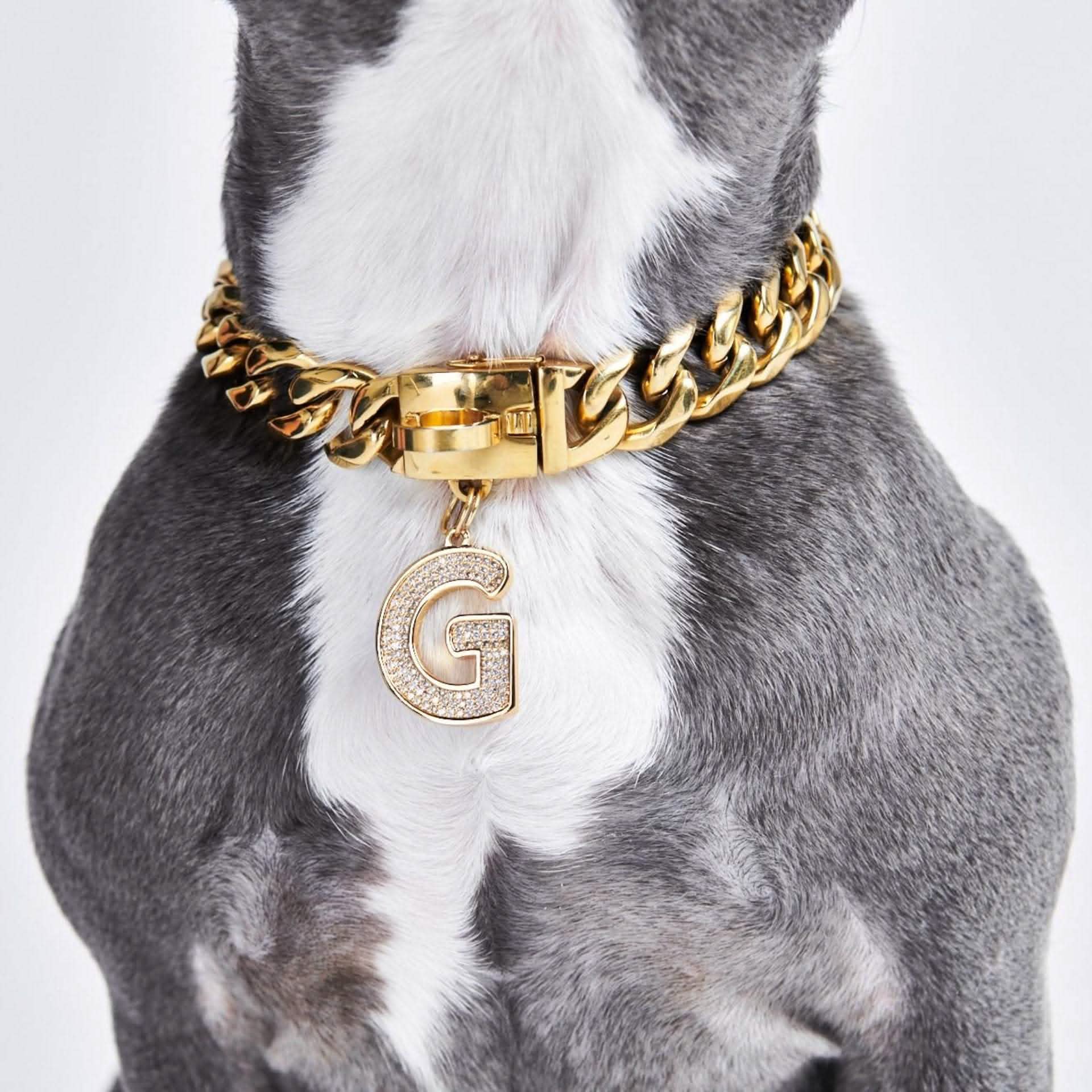 Gold Initial Letter Jewelry Tag for Dogs - G – SPARK PAWS