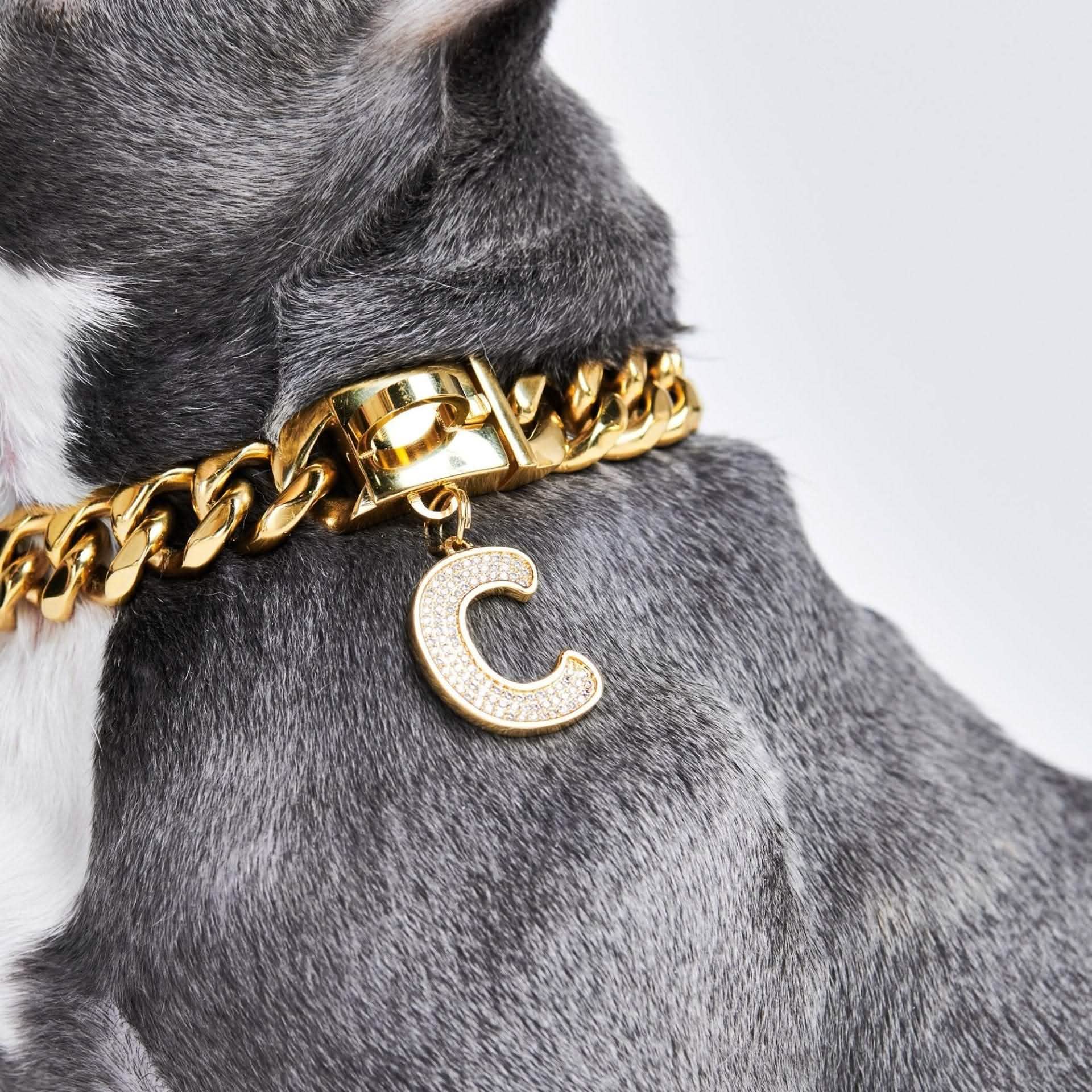 Dog Collar Letter Charms | Gold Initial Letter 'C' Jewelry Tag for Dogs ...
