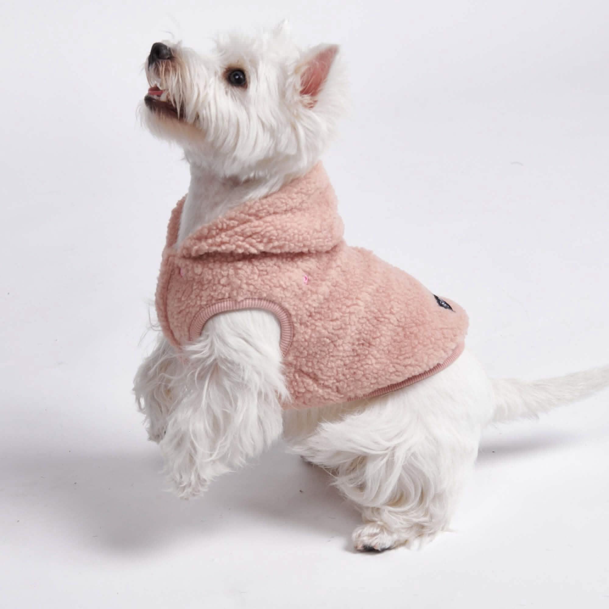 Teddy Sherpa Dog Jacket - Pink – SPARK PAWS
