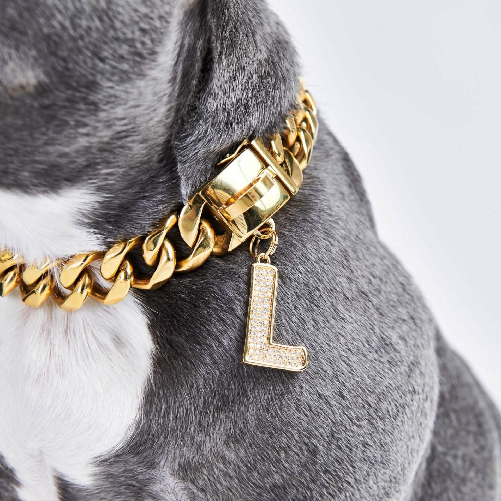 Gold Initial Letter Jewelry Tag for Dogs - L – SPARK PAWS