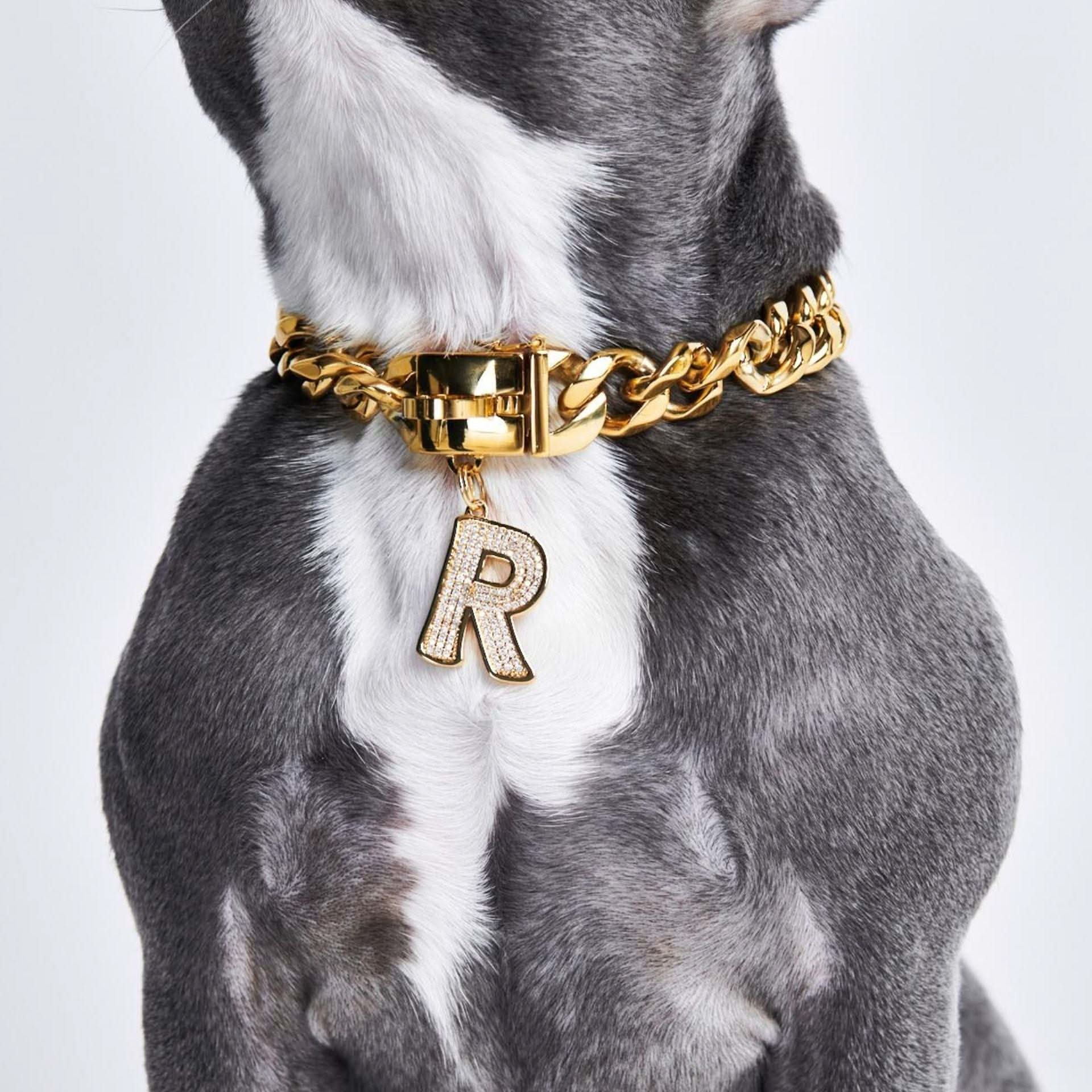 Gold Initial Letter Jewelry Tag for Dogs - R – SPARK PAWS