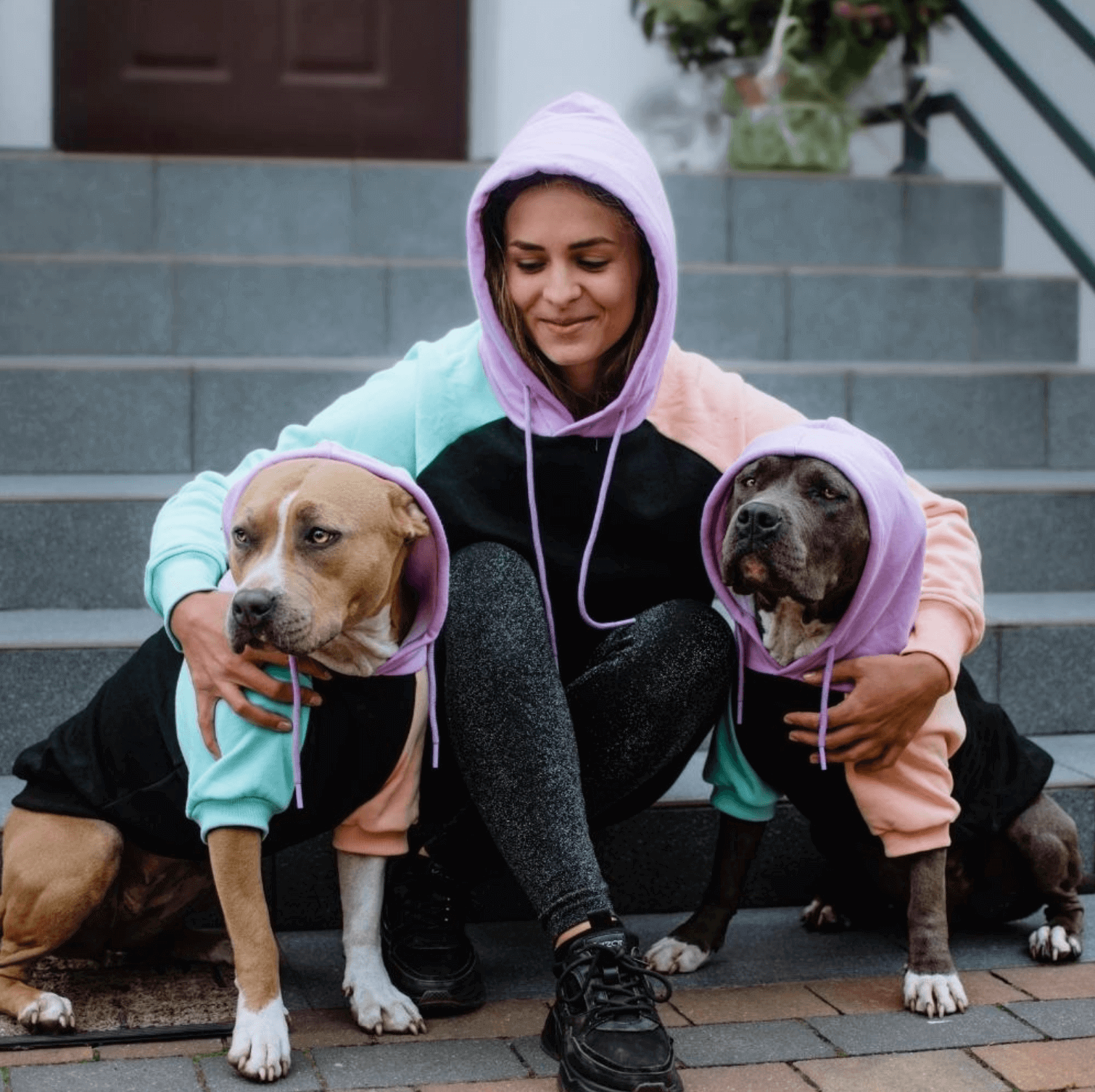 Purple Teal Mango Black Color-block Human Hoodie (Dog Matching) – SPARK ...