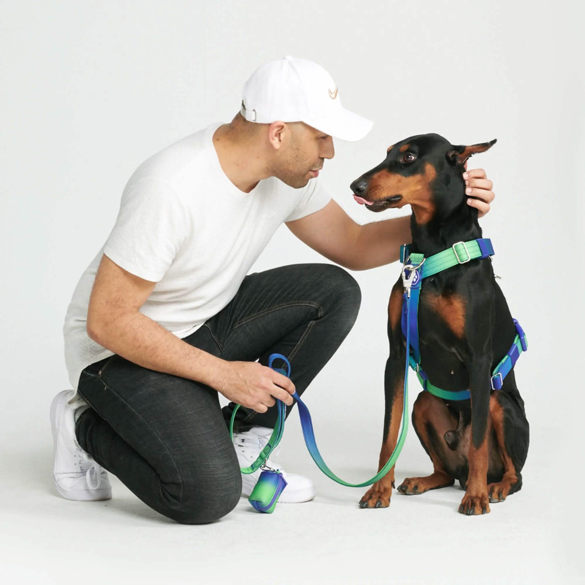 Comfort Control No-Pull Dog Harness - Lime Wave – SPARK PAWS