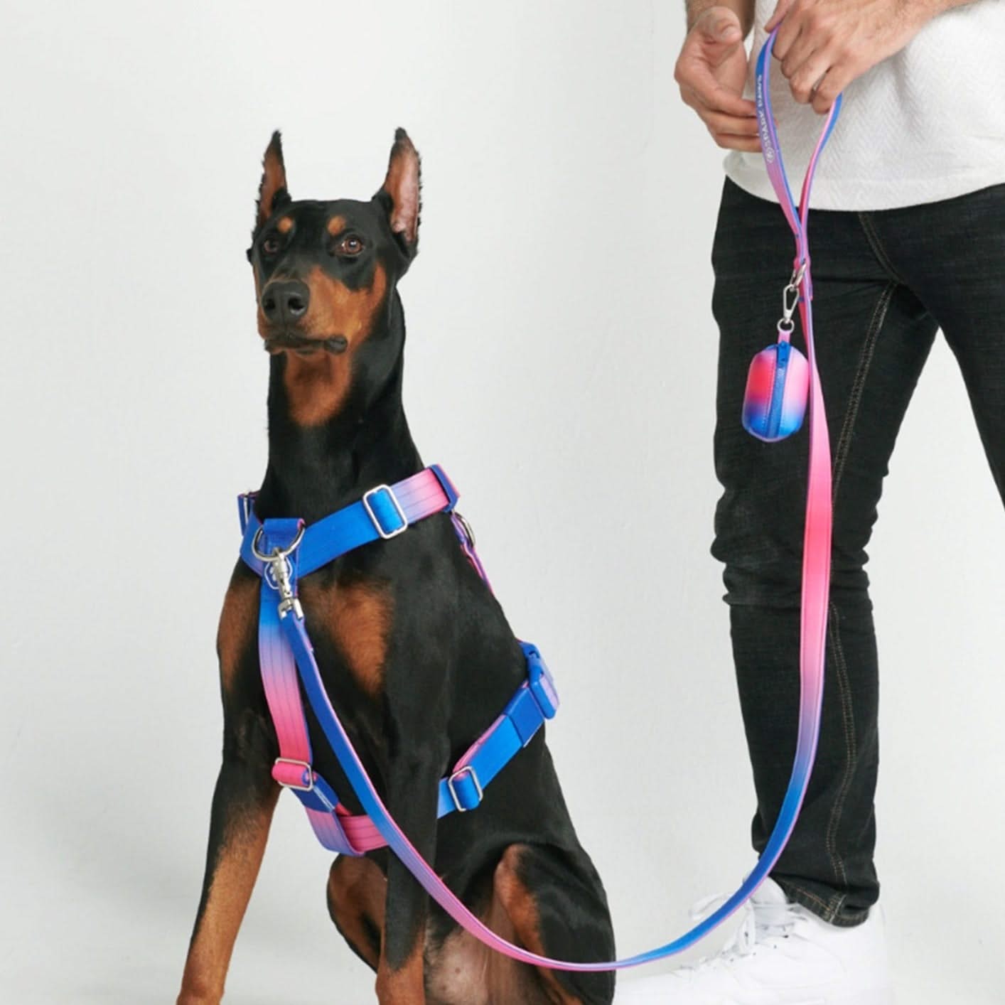 Comfort Control No-Pull Dog Harness Set - Snow Cone – SPARK PAWS