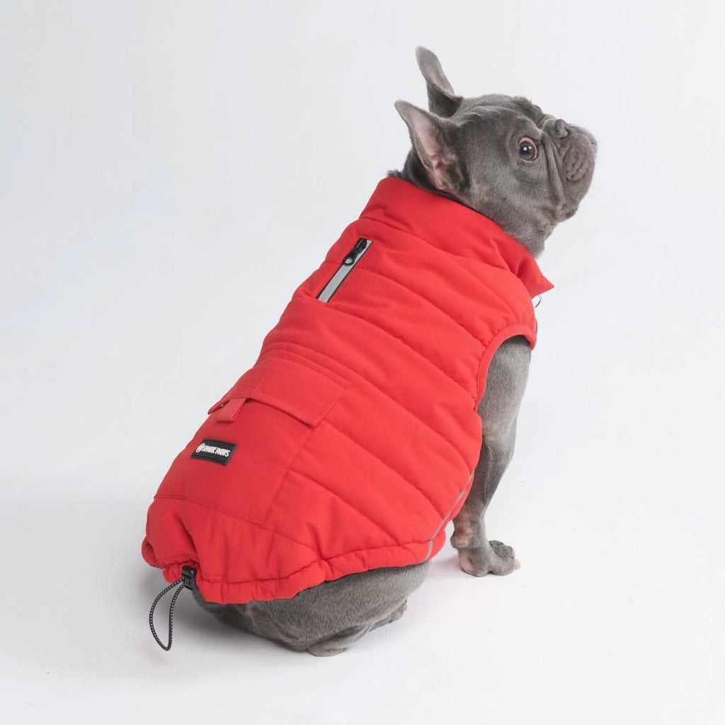 Water Resistant Winter Dog Jacket Vest – SPARK PAWS
