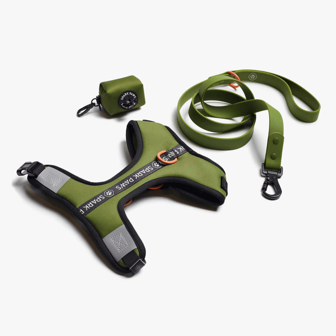 Cushion Harness Walk Set – SPARK PAWS