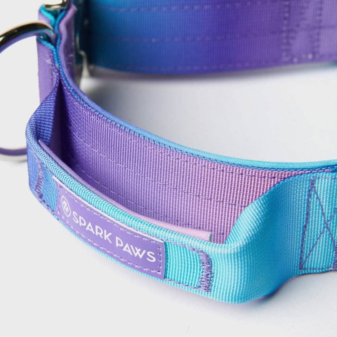 Comfort Control Collar - 90s Retro – SPARK PAWS