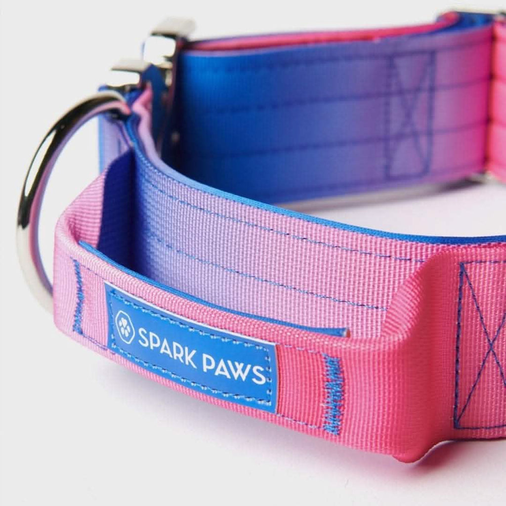 Comfort Control Collar - Snow Cone – SPARK PAWS