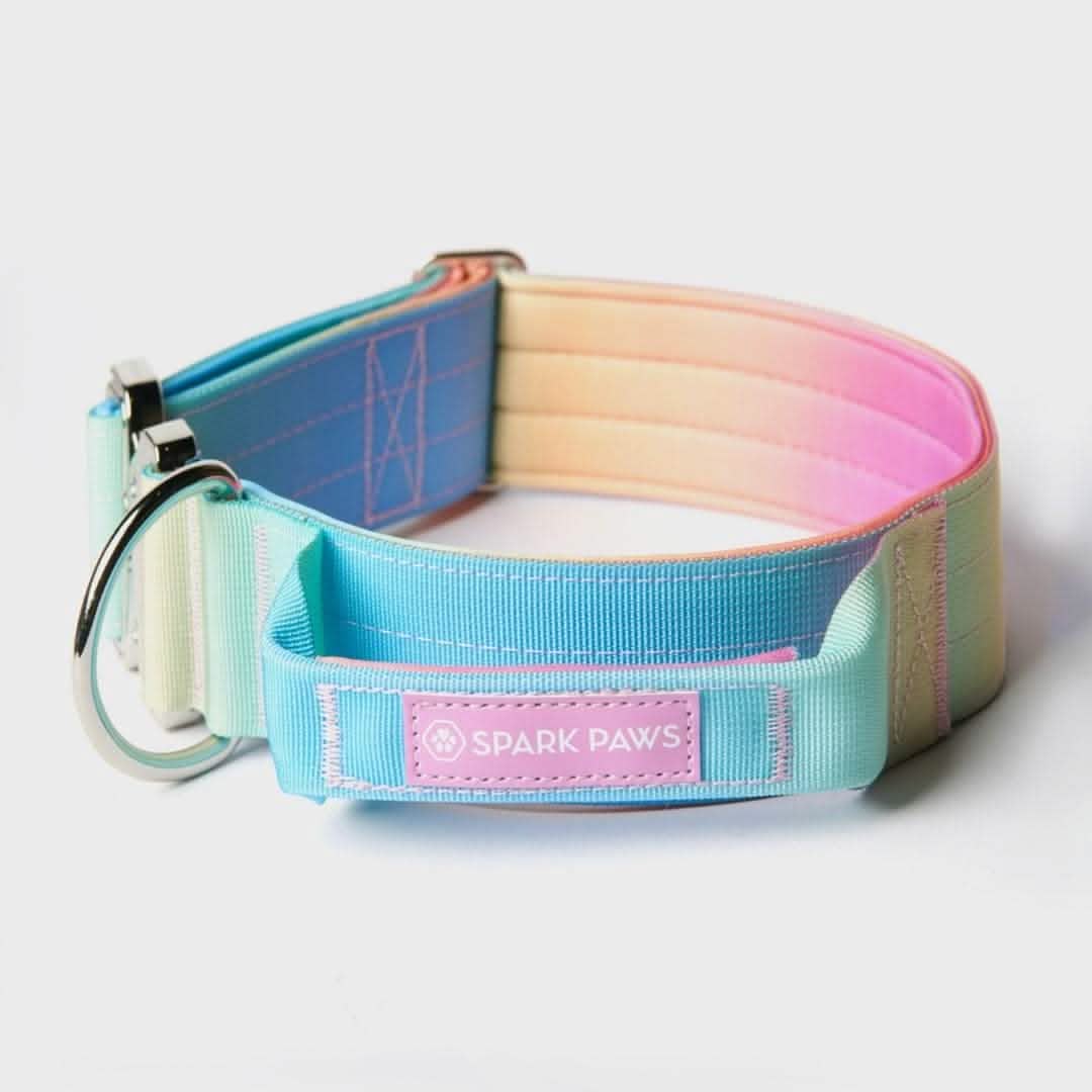 Comfort Control Collar - Pastel Icing – SPARK PAWS