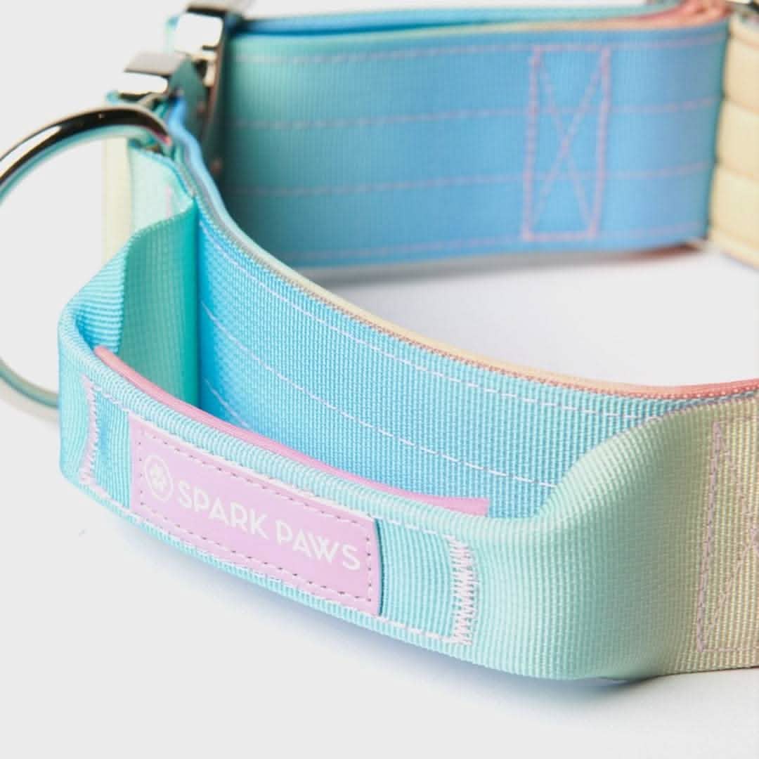 Comfort Control Collar - Pastel Icing – SPARK PAWS
