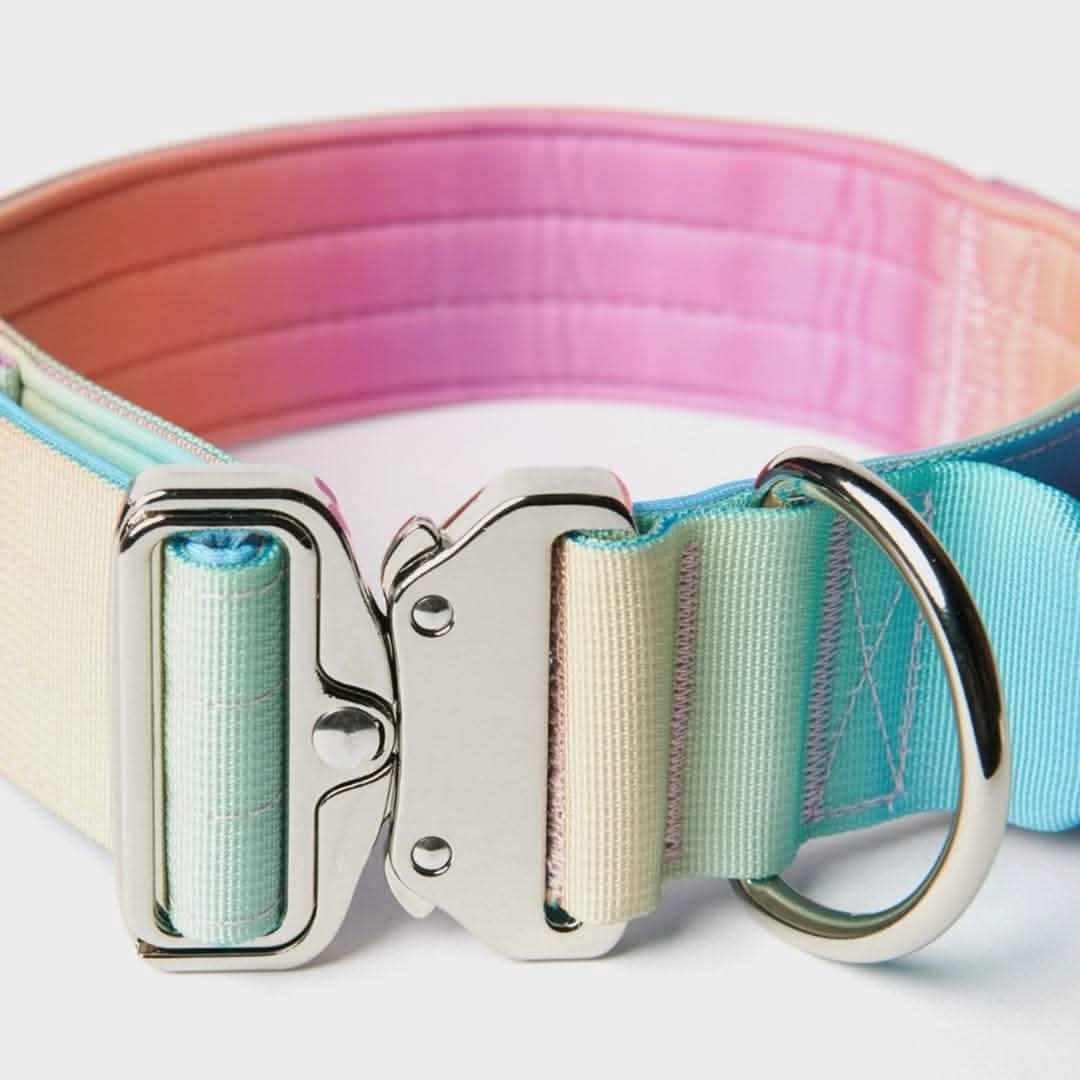 Comfort Control Collar - Pastel Icing – SPARK PAWS